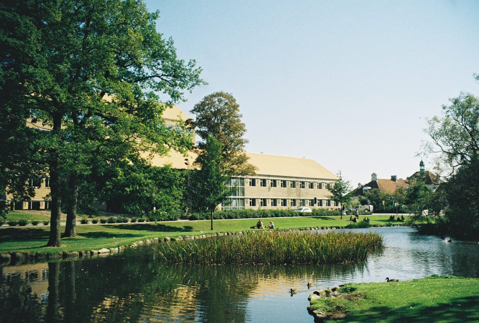 Estudante de Mestrado em Neuropsicologia em mobilidade internacional na ...